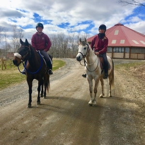 Gallery - Horse Rescue, Horses with Hope