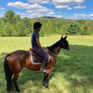 Gallery - Horse Rescue, Horses with Hope