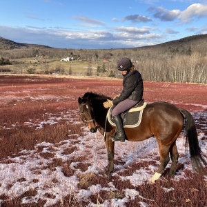 Gallery - Horse Rescue, Horses with Hope