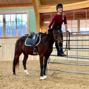 Gallery - Horse Rescue, Horses with Hope