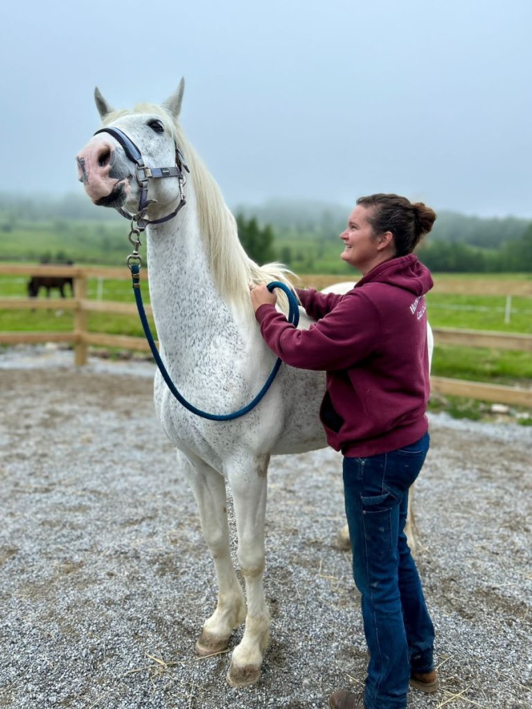 Sydin - Horse Rescue, Horses with Hope