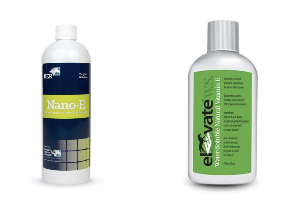 Vitamin E and Selenium: The Dynamic Duo - Horse Rescue, Horses with Hope